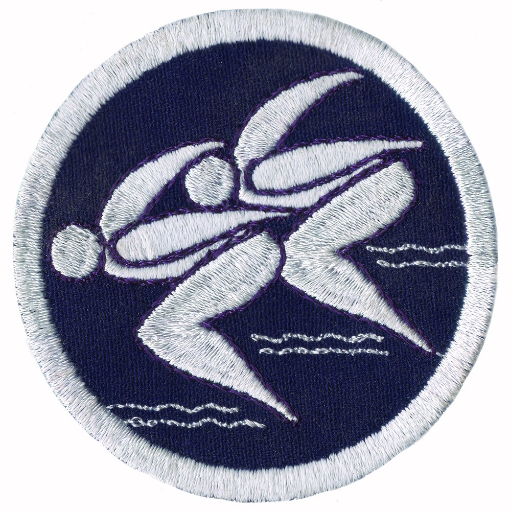 Schwimmabzeichen silber